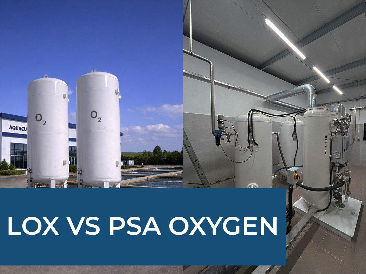 Oxygen tanks vs oxygen generators in aquaculture and fish farming | OXYMAT